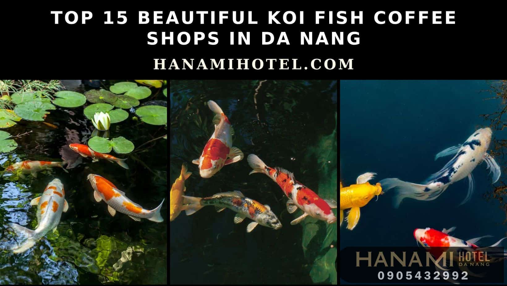 Top 15 Beautiful Koi Fish Coffee Shops In Da Nang - HanamiHotel.Com