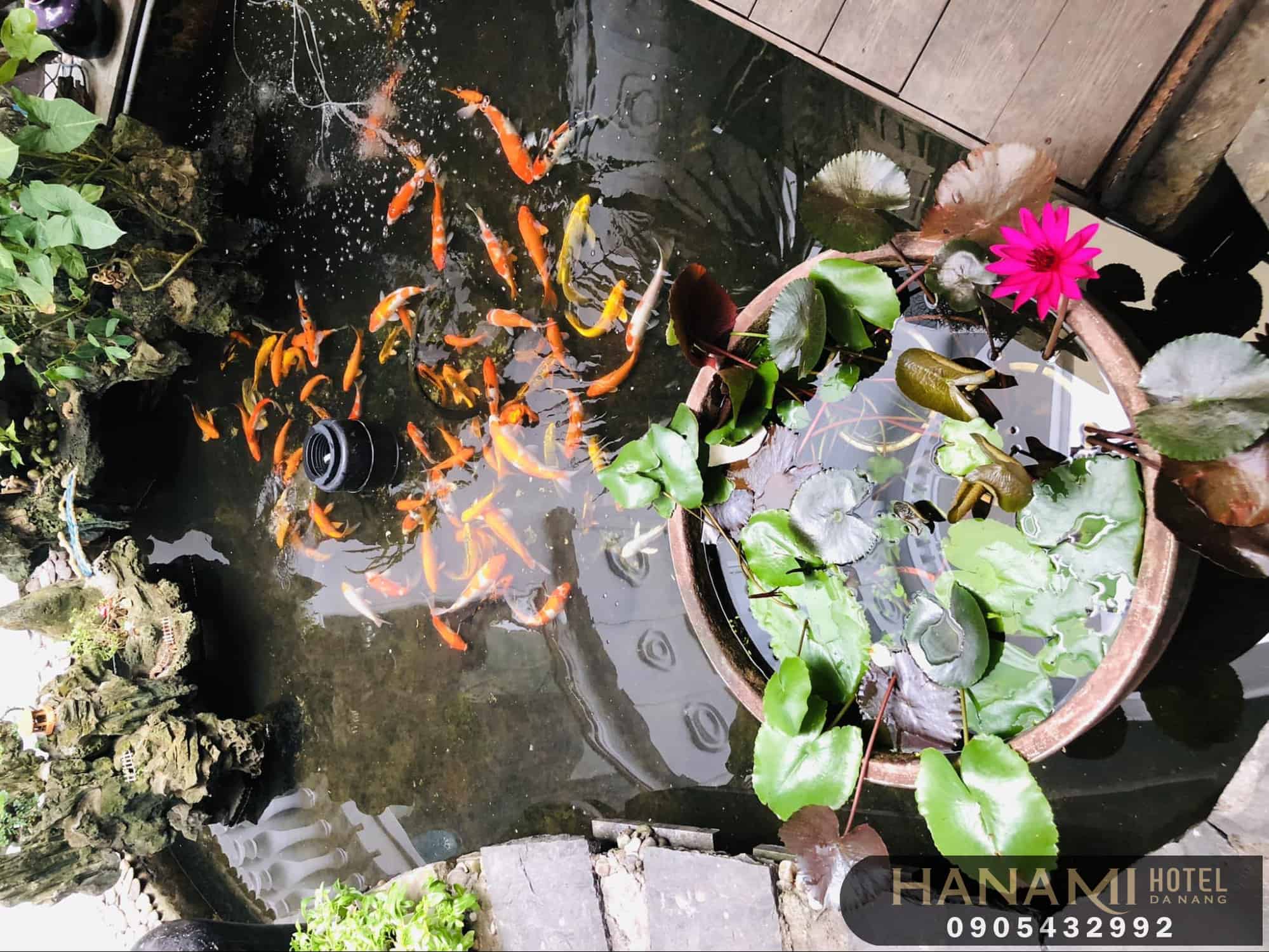 Top 15 Beautiful Koi Fish Coffee Shops In Da Nang - HanamiHotel.Com