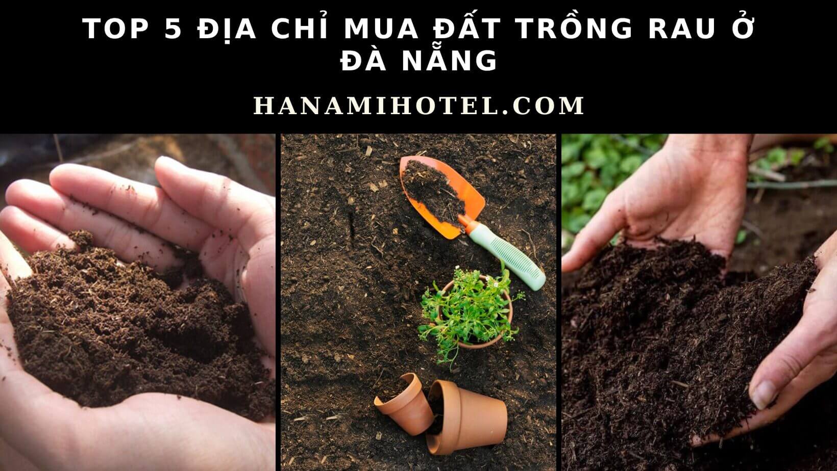 5 địa Chỉ Mua đất Trồng Rau ở Đà Nẵng Uy Tín, Chất Lượng